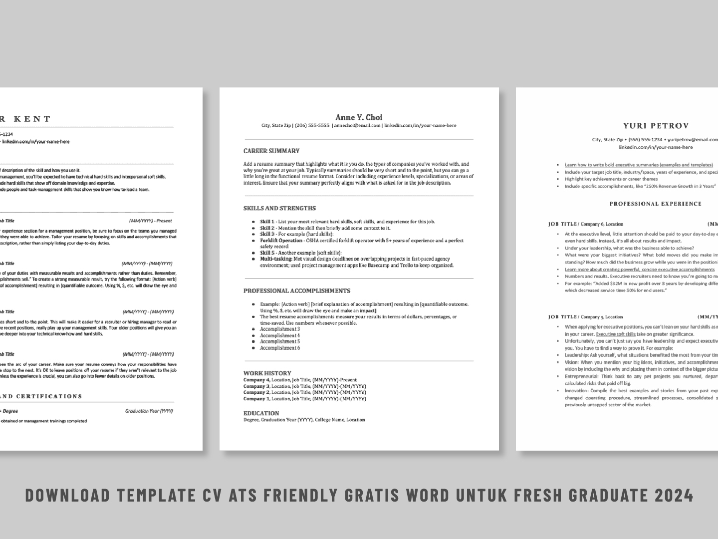 Download Template CV ATS Friendly Gratis Word | Arif Amrullah’s Portfolio