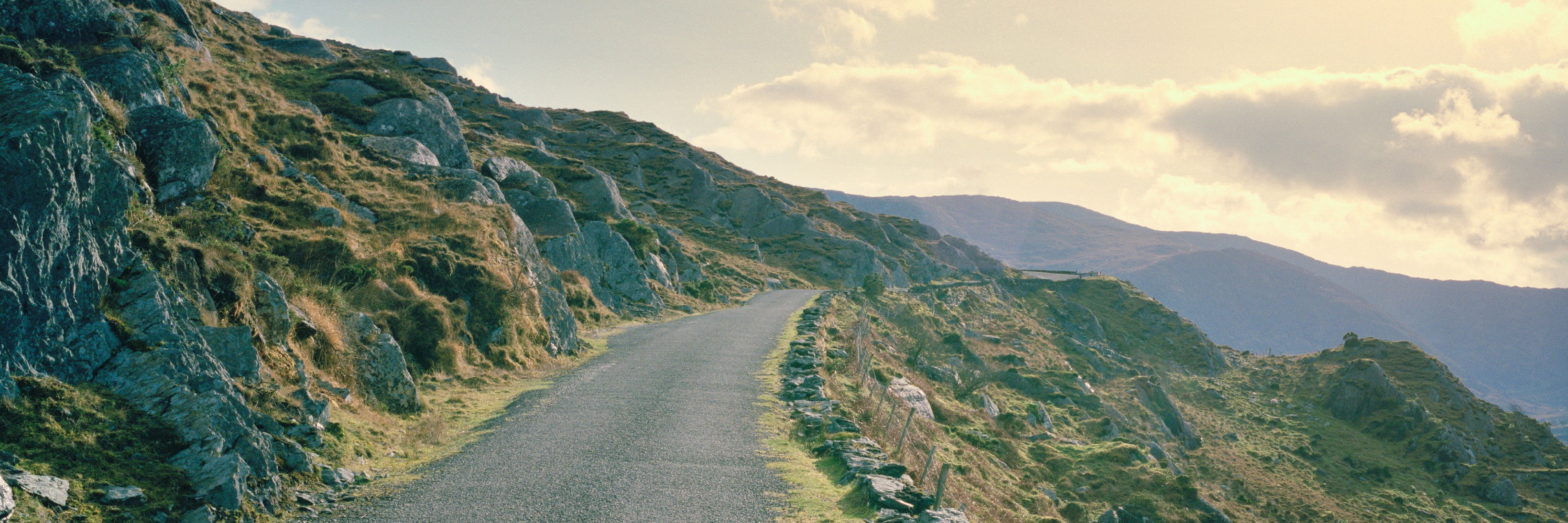 Dr. Joel Ross’s Reputation Credits | Showcase Your Professional ...